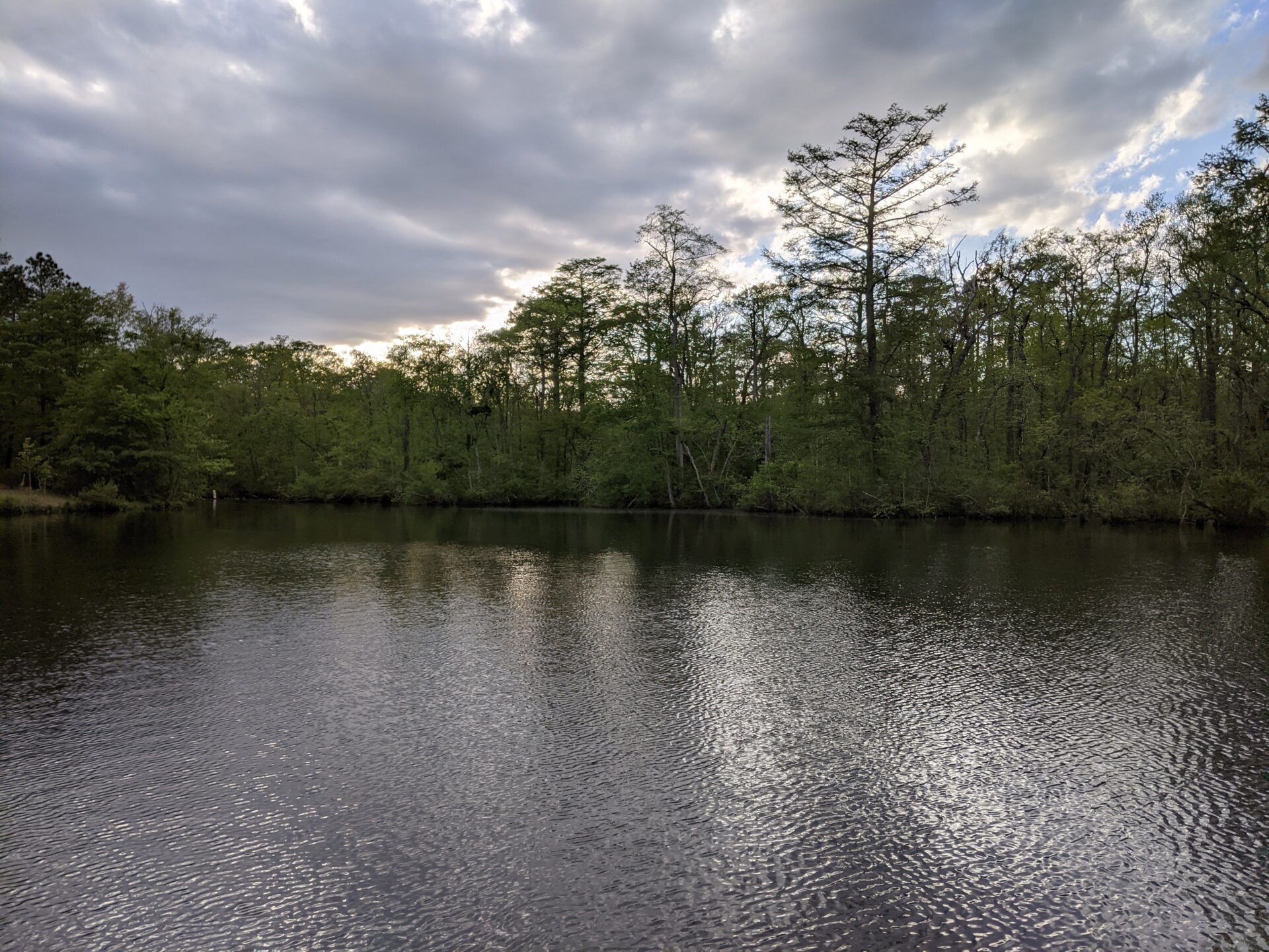 What is a DelMarVa?