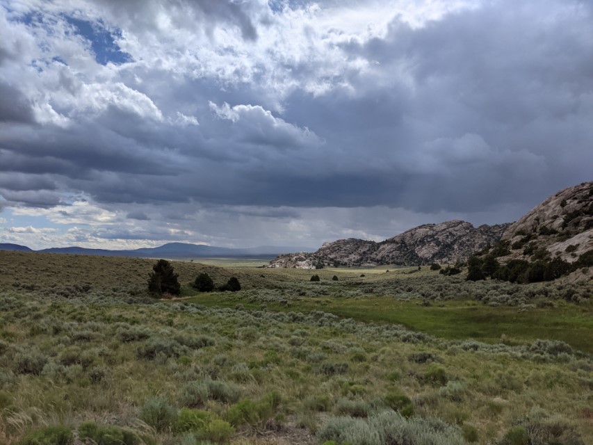 From Laura Ingalls Wilder to Martin's Cove - Empty Nesters Take Flight